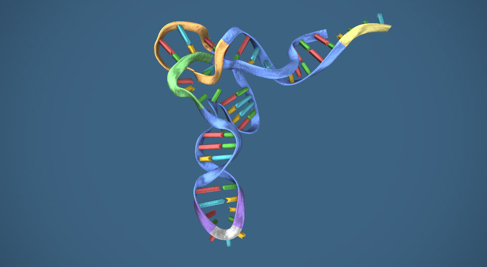 Foszforsav (H₃PO₄) - 3D-modell - Mozaik digitális oktatás és tanulás